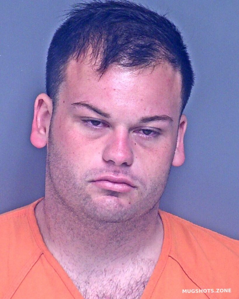 LADNIER COLBY ALLEN 10/04/2022 - Baldwin County Mugshots Zone
