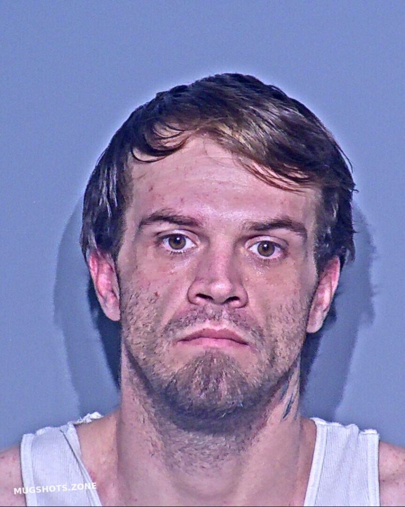 DRISKELL JOSHUA TODD 11/03/2022 - Baldwin County Mugshots Zone