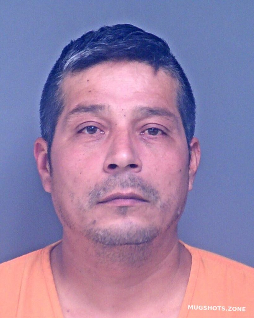 TREVINO-DEL ANGEL NICASIO 11/08/2022 - Baldwin County Mugshots Zone