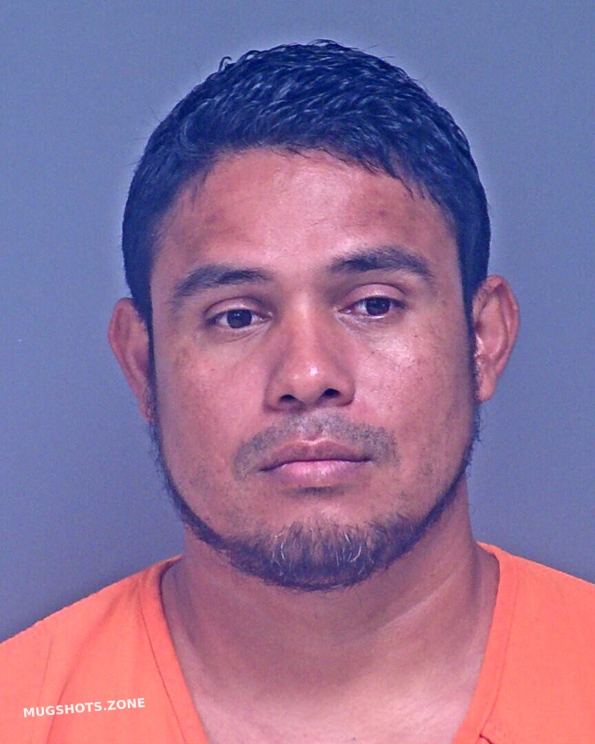 MURILLO-ESQUIVEL ROGER ANTONIO 11/09/2022 - Baldwin County Mugshots Zone