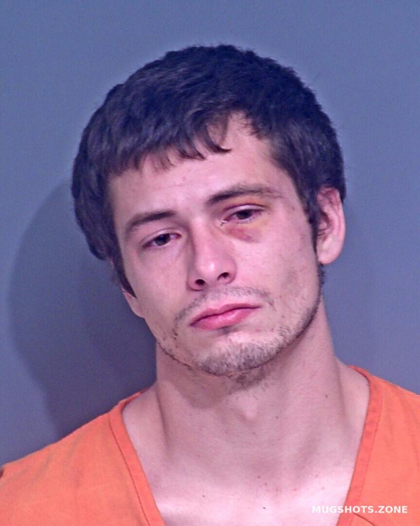 WHITSETT WESLEY DANIEL 11/24/2022 - Baldwin County Mugshots Zone