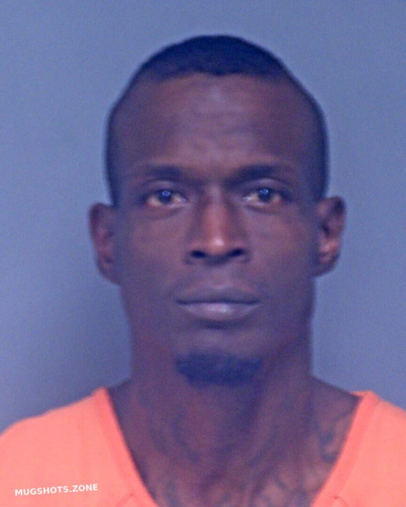 ERVIN JR REGINALD PERRY 01/28/2023 - Baldwin County Mugshots Zone