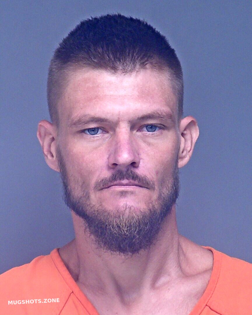 DRIVER CHRISTOPHER MICHAEL 02/10/2023 - Baldwin County Mugshots Zone