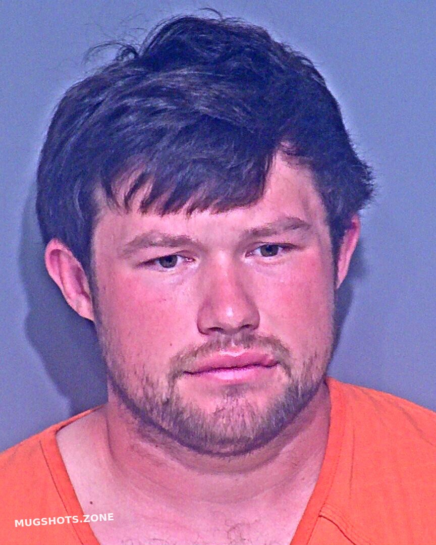 LEWIS THOMAS LANE 04/06/2023 - Baldwin County Mugshots Zone