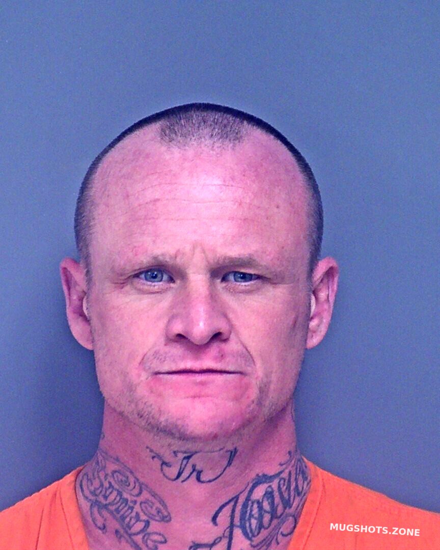 MATHIS SR. BRIAN MCCALL 04/08/2023 - Baldwin County Mugshots Zone