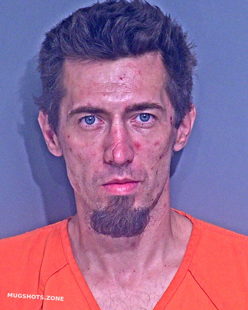 DOMBROVSKIY DENIS YUREYVICH 05/02/2023 - Baldwin County Mugshots Zone