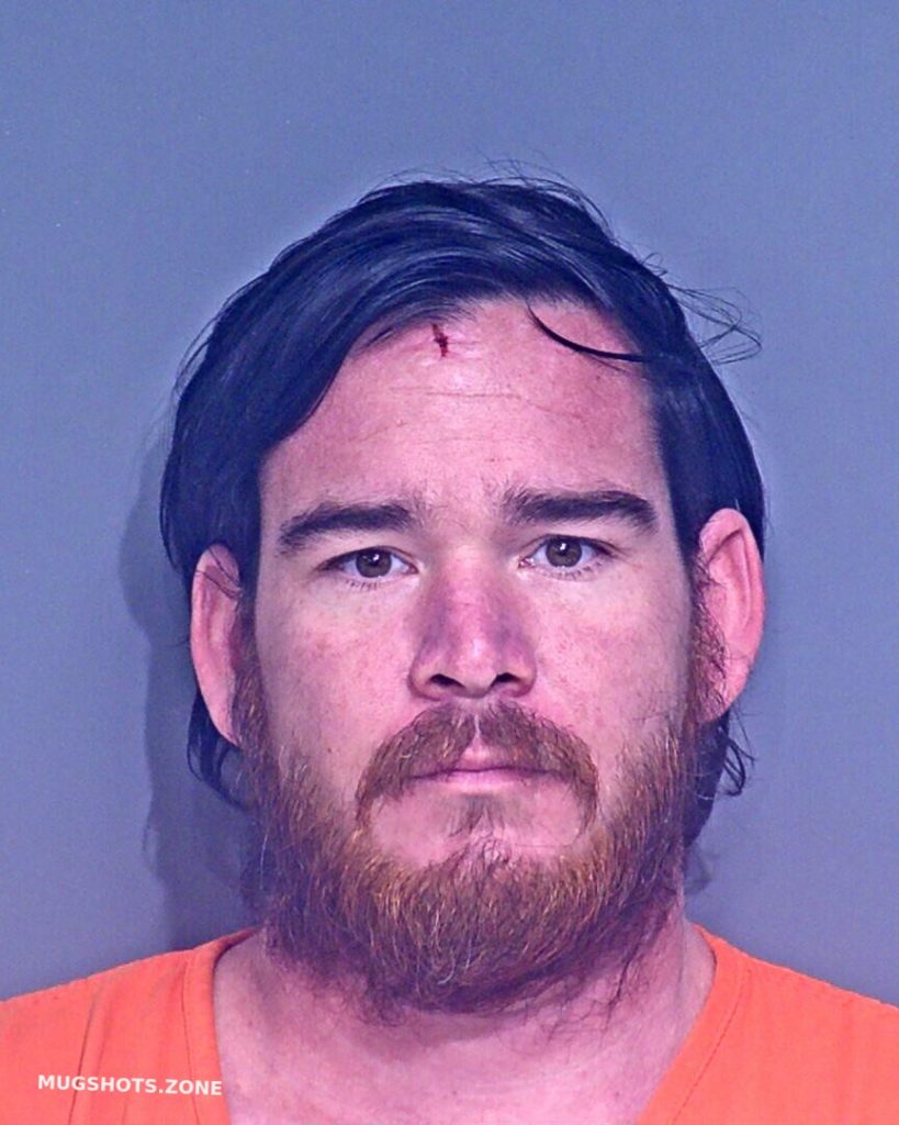 WALLACE CHRISTOPHER NICHOLAS 06/09/2023 - Baldwin County Mugshots Zone