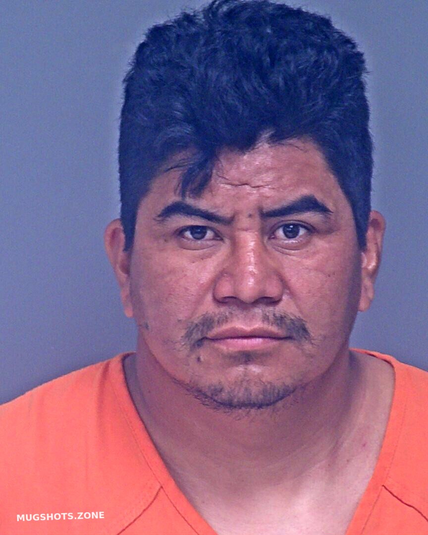 AMAYA-ALVARADO ELMER ANIBAR 06/11/2023 - Baldwin County Mugshots Zone