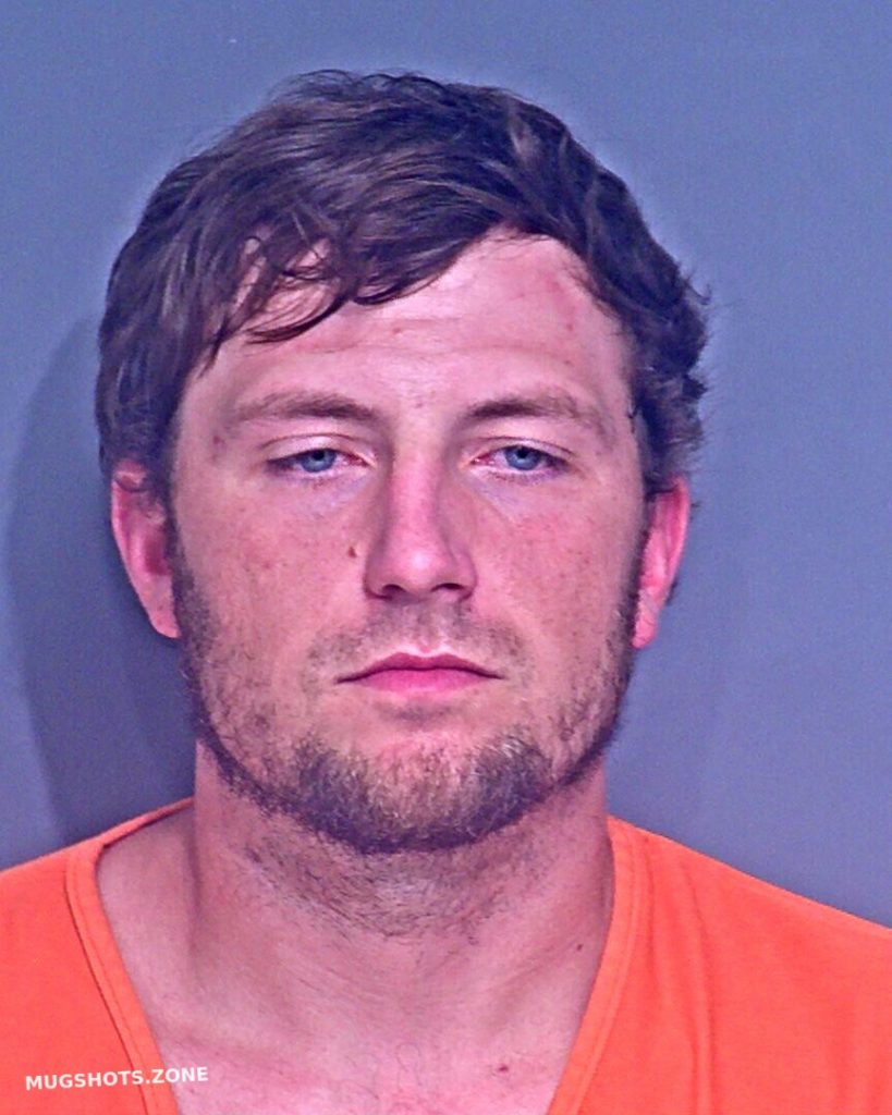 JOHNSON JAMES DILLON 07/01/2023 - Baldwin County Mugshots Zone