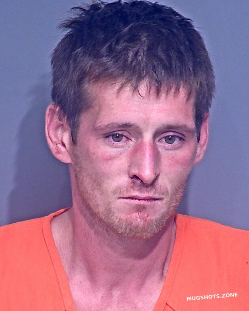 BROWN NICHOLAS SHANE 10/24/2023 - Baldwin County Mugshots Zone
