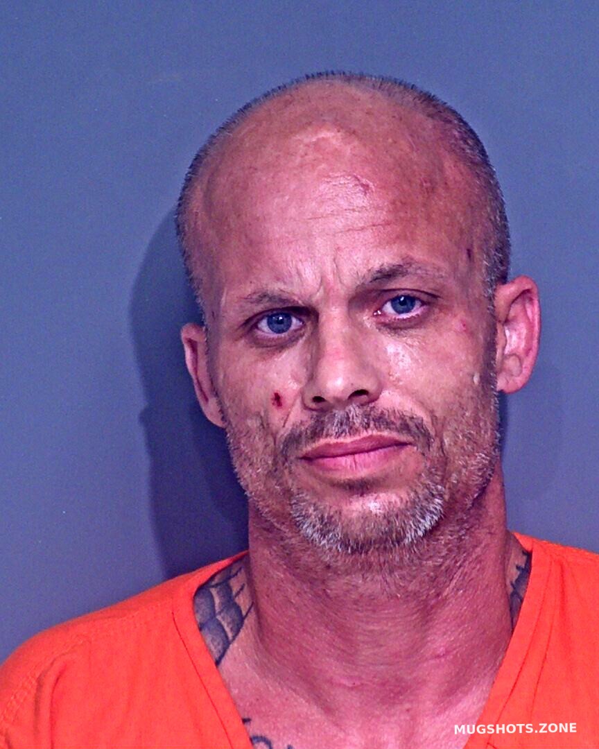 DEARMAN WILLIAM WAYNE 11/24/2023 - Baldwin County Mugshots Zone