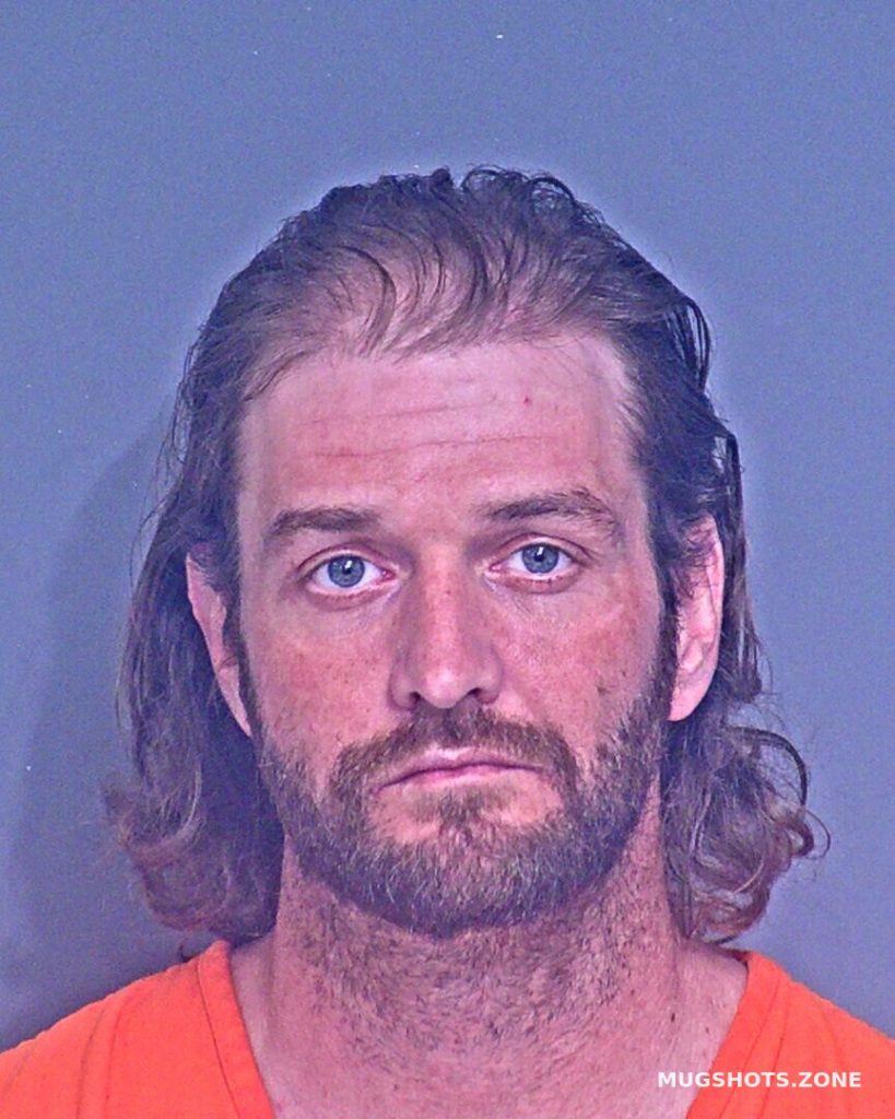 TURBERVILLE JUSTIN ERIC 01/08/2024 - Baldwin County Mugshots Zone