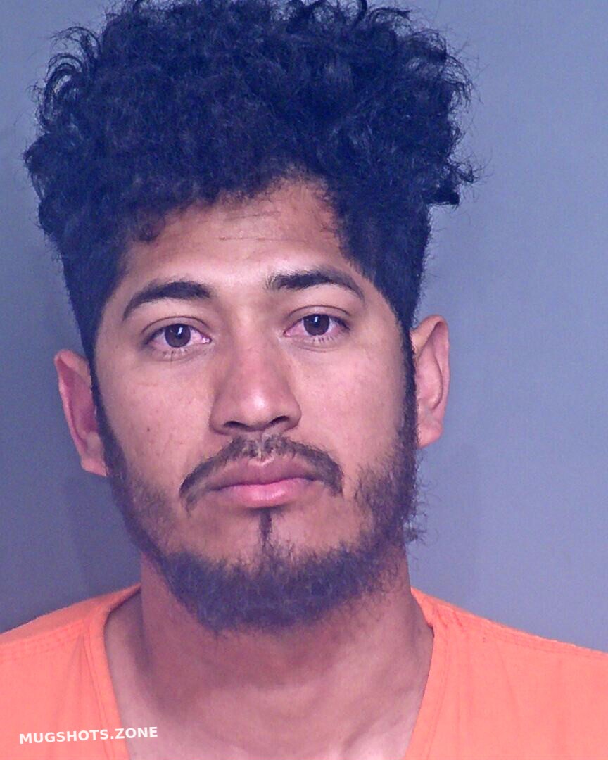 FLORES-MARTINEZ ANTONIO ALFREDO 02/14/2024 - Baldwin County Mugshots Zone