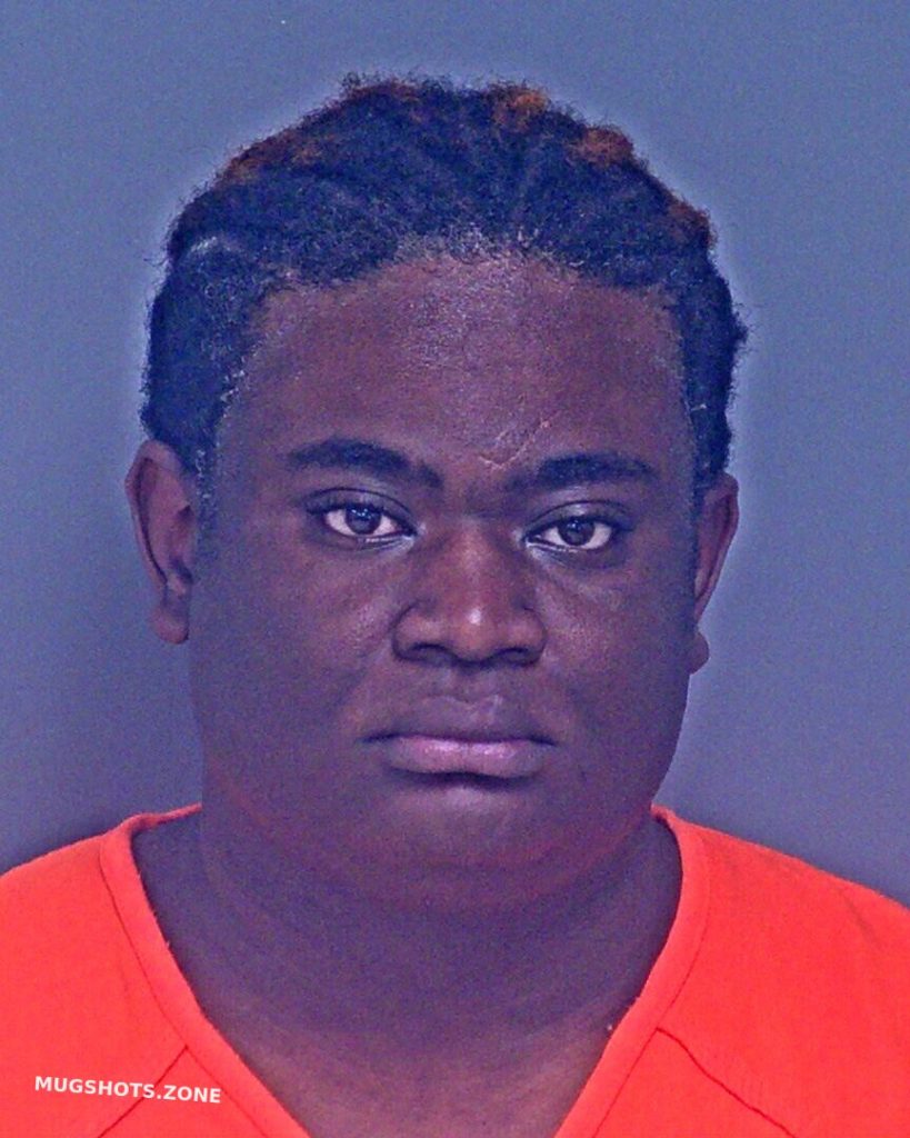 DUKES JAMARCUS VONTE 02/19/2024 - Baldwin County Mugshots Zone