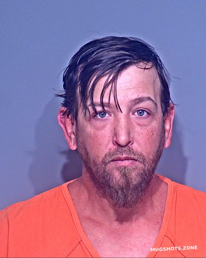 HENDERSON TALMADGE WAYNE 02/22/2024 - Baldwin County Mugshots Zone