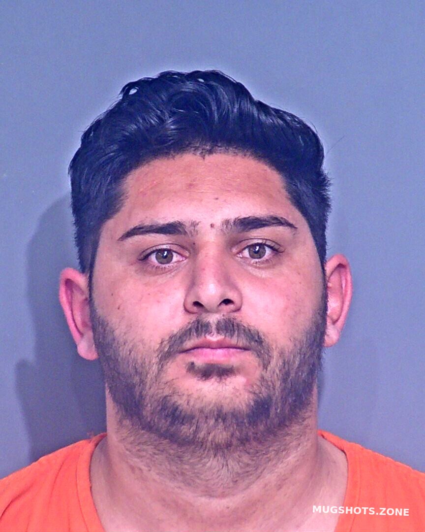 AVRAM DAVID 02/29/2024 - Baldwin County Mugshots Zone