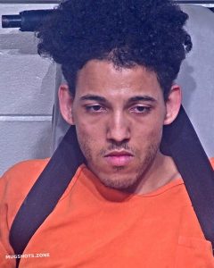 PRIM JR ALONZO DUWAYNE 03/19/2024 - Baldwin County Mugshots Zone