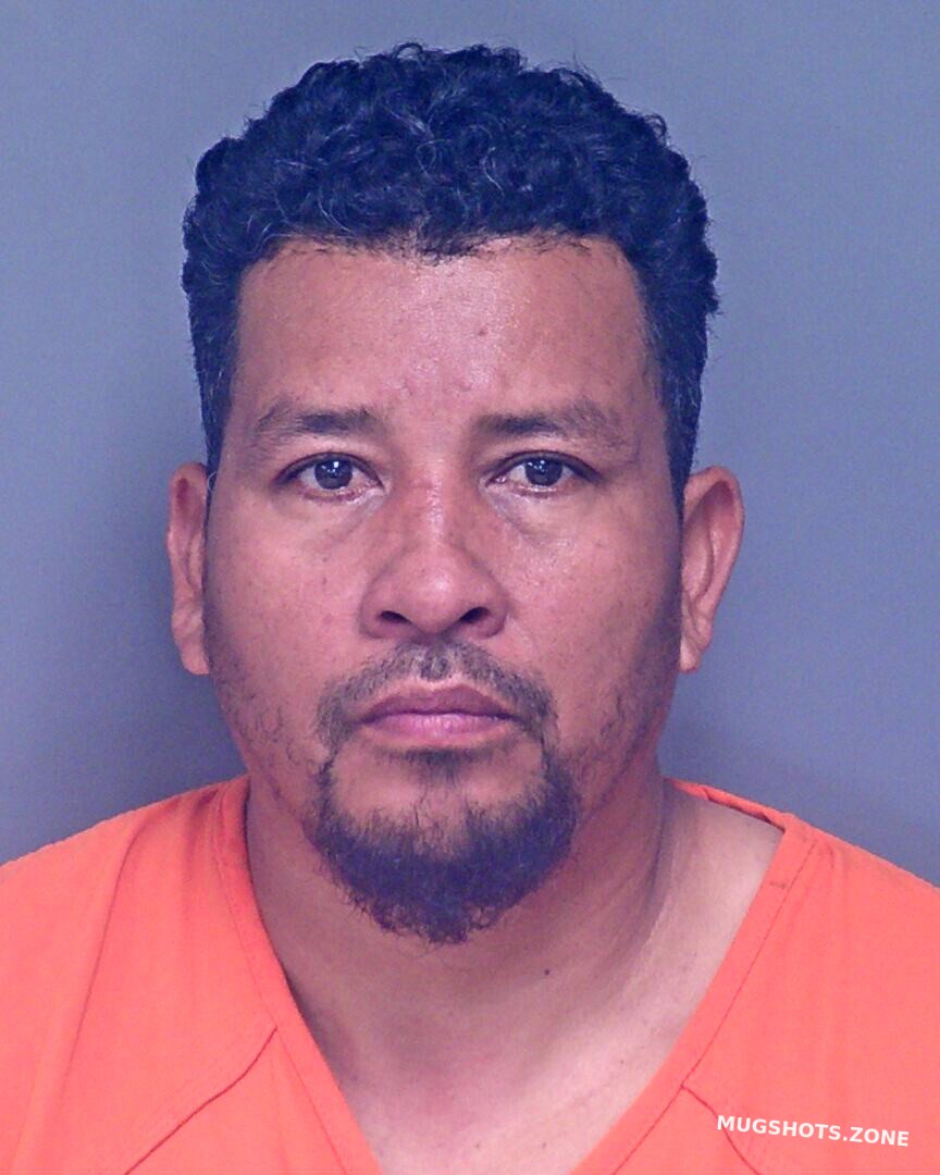 CRUZ ALMENDAREZ DONAR VIDAL 03/31/2024 - Baldwin County Mugshots Zone