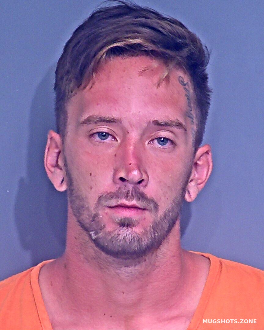 METZGER RONALD JAY 05/17/2024 - Baldwin County Mugshots Zone