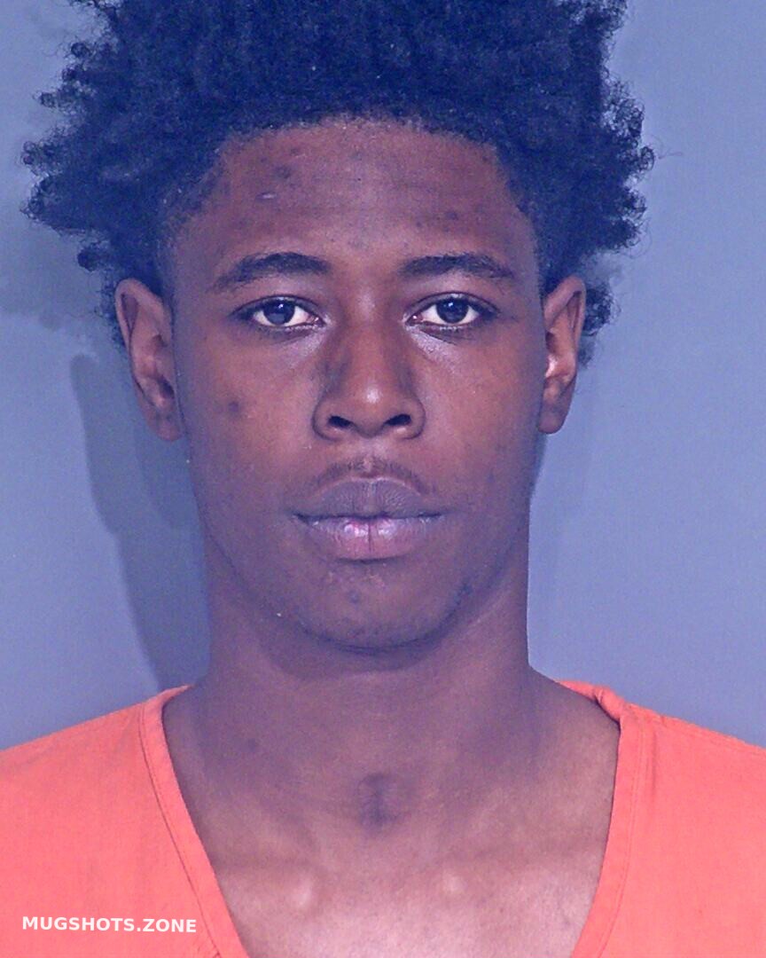 WILLIAMS JR. LASHUN DEON 05/17/2024 - Baldwin County Mugshots Zone