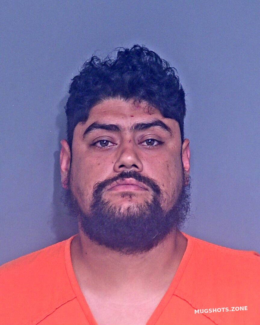 RODRIGUEZ ALVARO HOLGUIN 06/12/2024 - Baldwin County Mugshots Zone