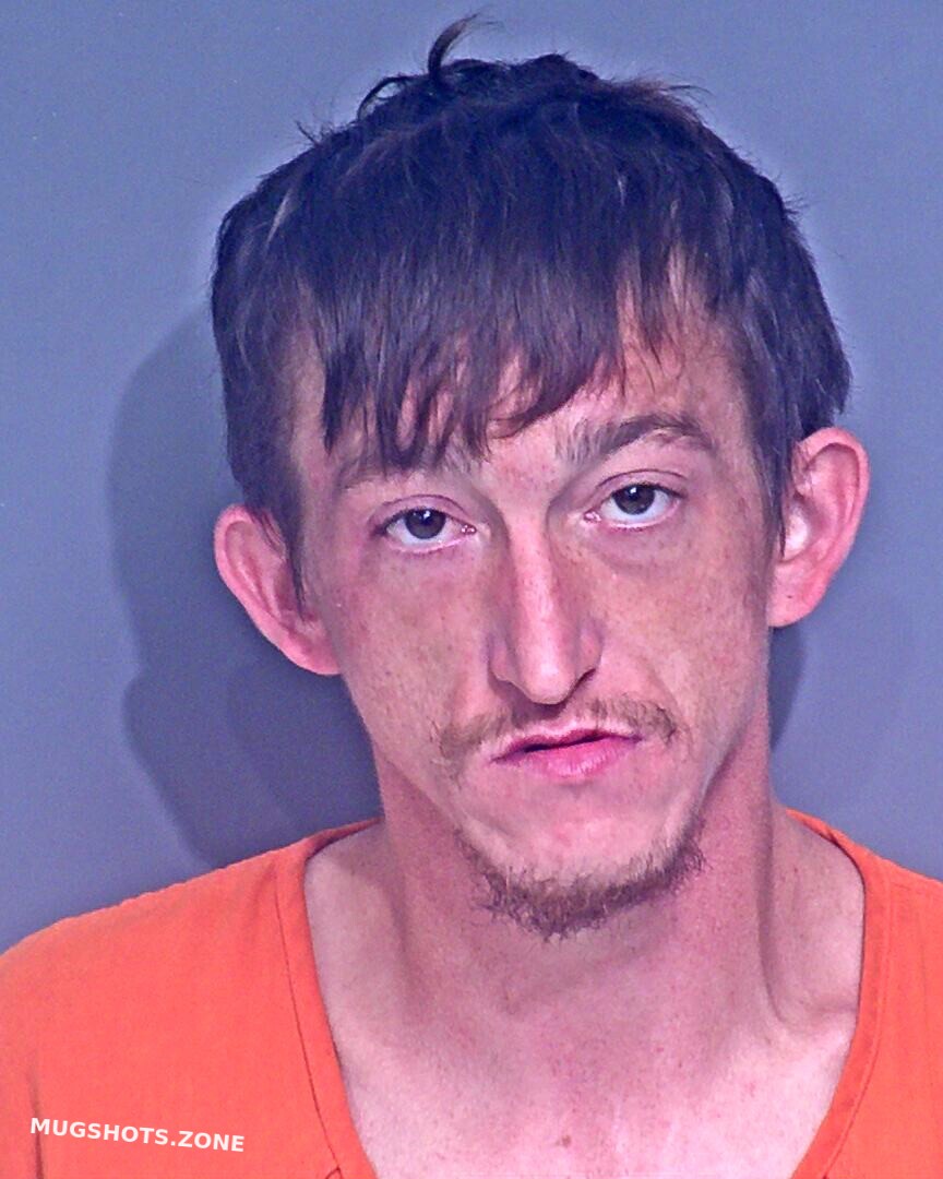 JOHNSON ROY EDWARD 07/06/2024 - Baldwin County Mugshots Zone