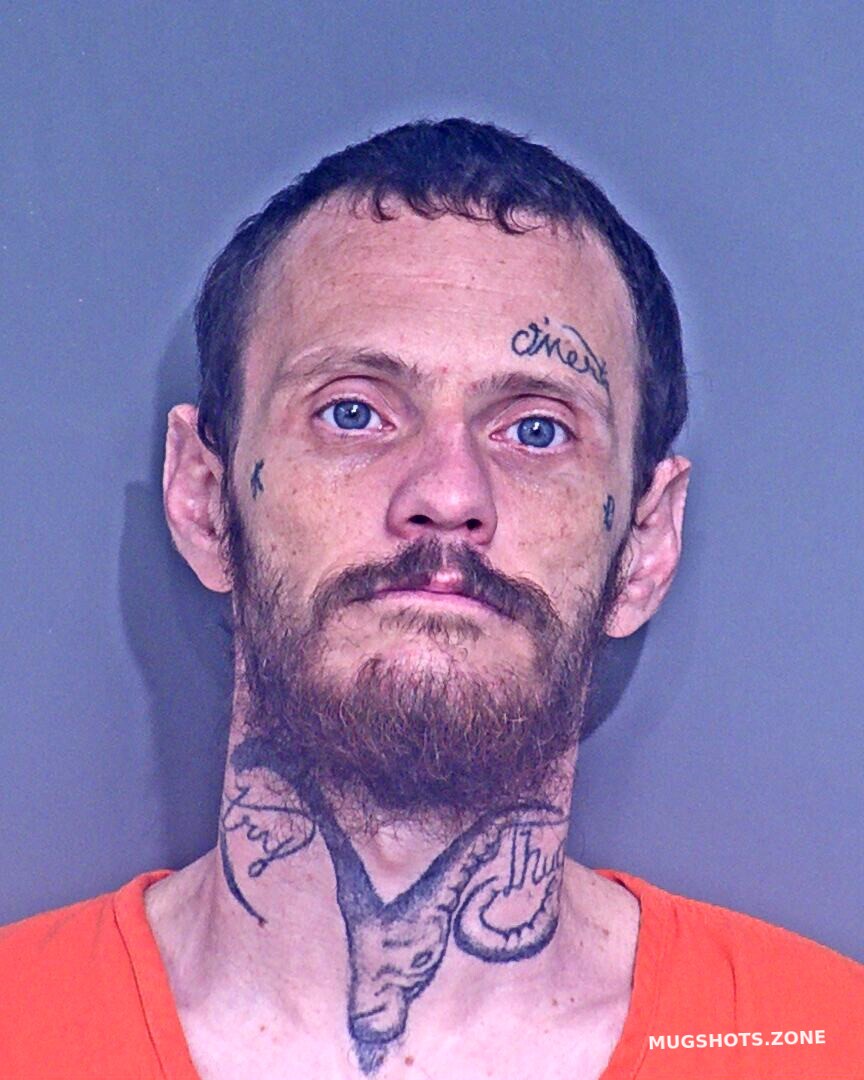 GODWIN JAMES EARL RAY 07/22/2024 - Baldwin County Mugshots Zone