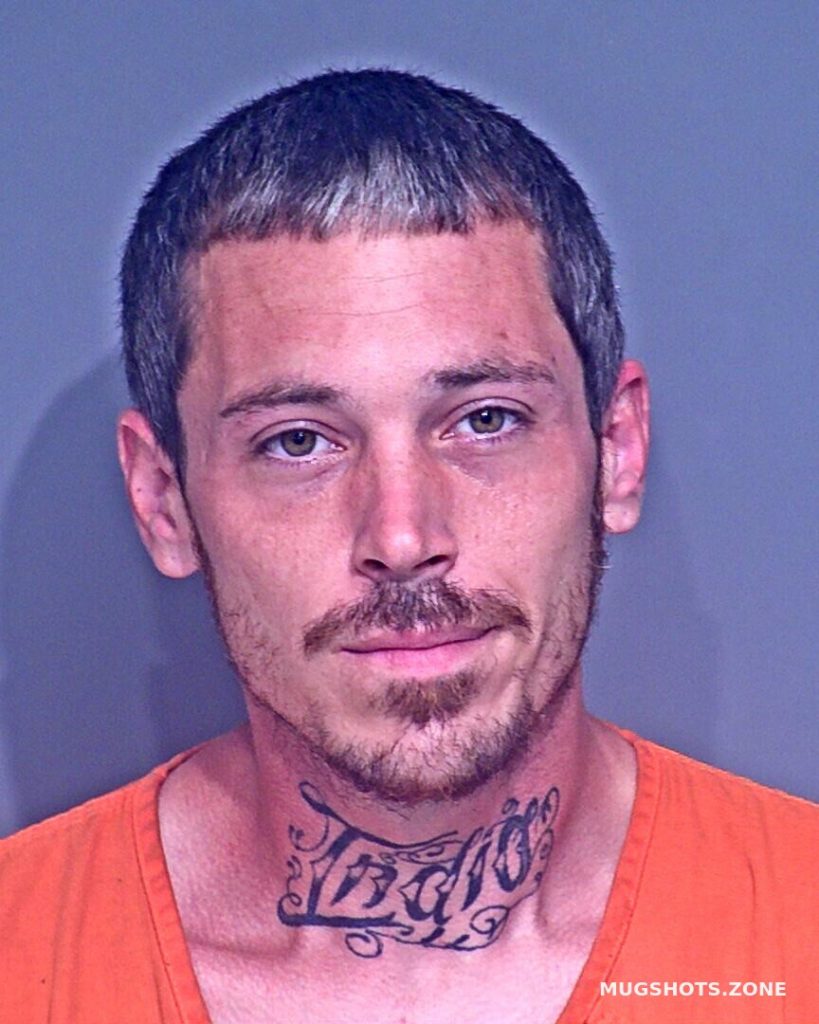 FRAME SEAN MICHAEL 07/25/2024 - Baldwin County Mugshots Zone