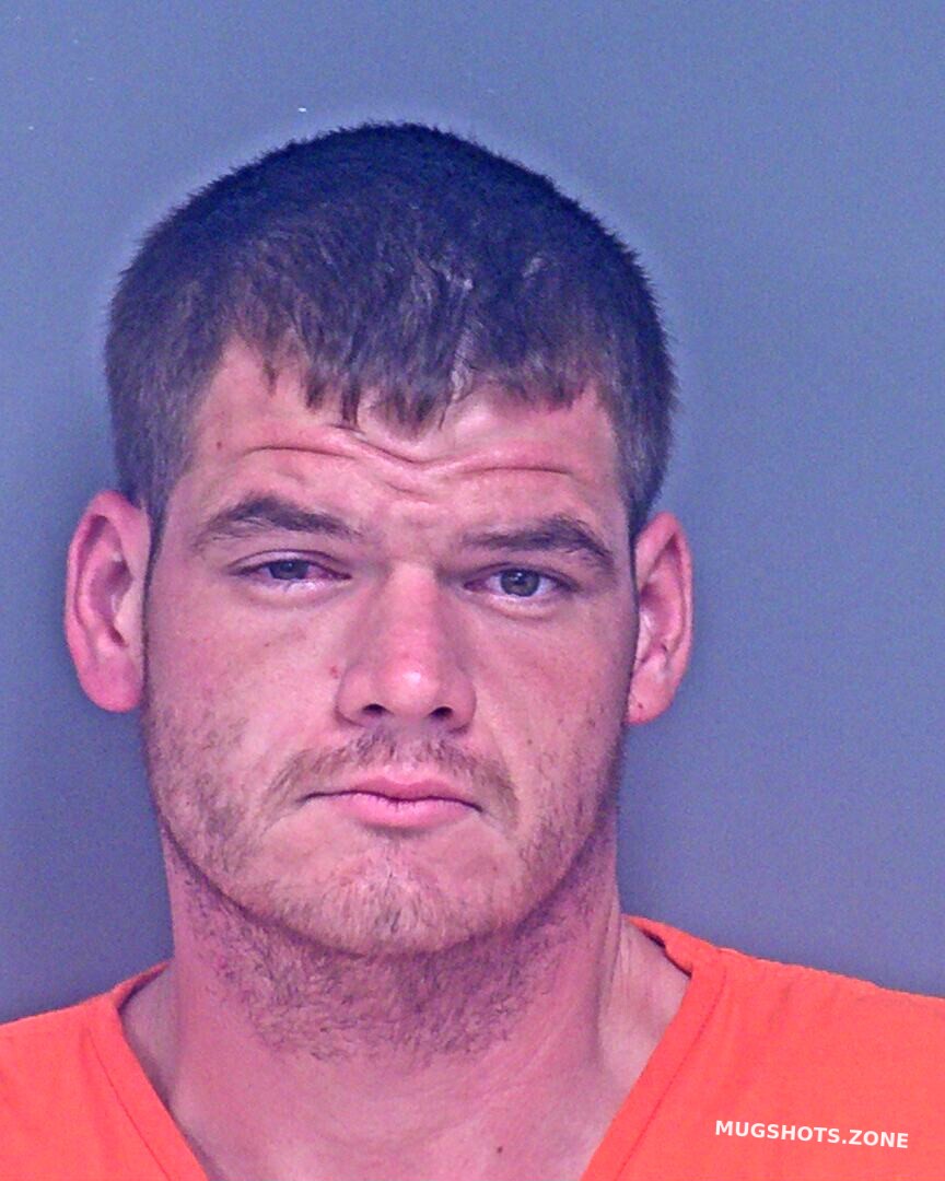 DELAUNE DAVID PAUL 08/05/2024 - Baldwin County Mugshots Zone