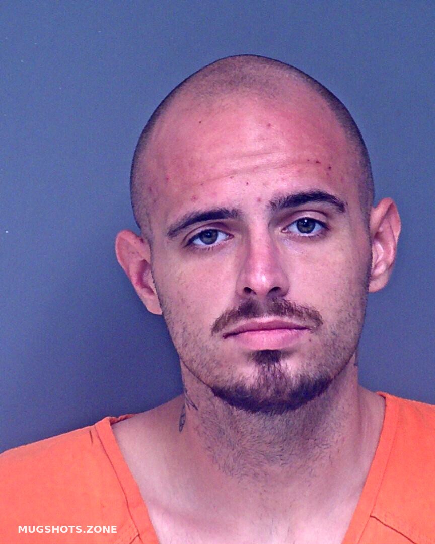 GODWIN ALEXANDER PAUL 08/09/2024 - Baldwin County Mugshots Zone