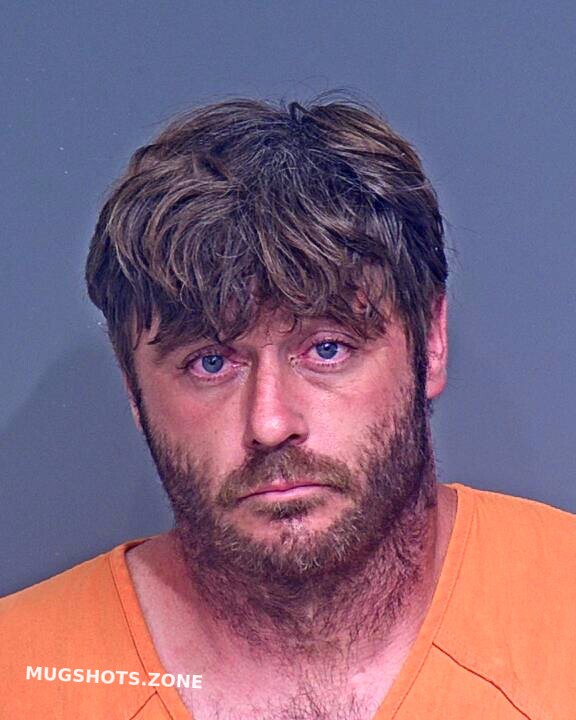 HIGGINS JAMES EARL 08/11/2024 - Baldwin County Mugshots Zone