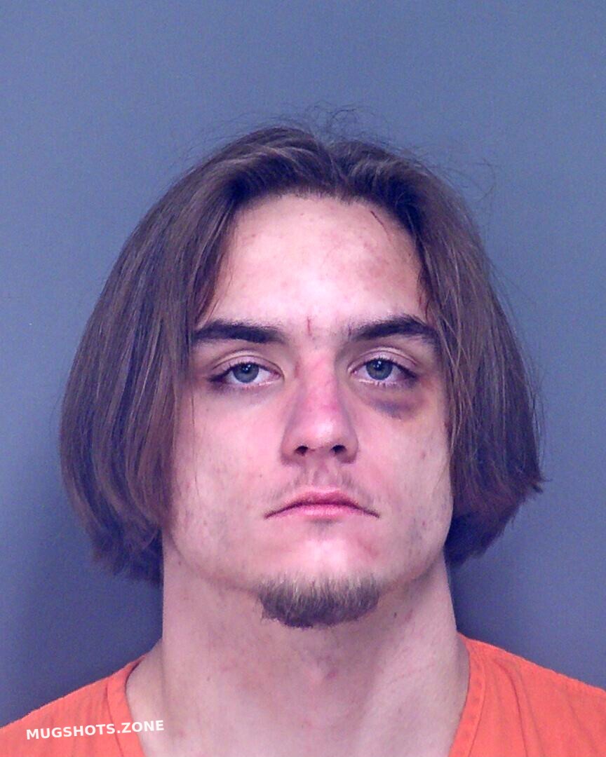 SOUTHWORTH SHANE RYAN 08/15/2024 - Baldwin County Mugshots Zone
