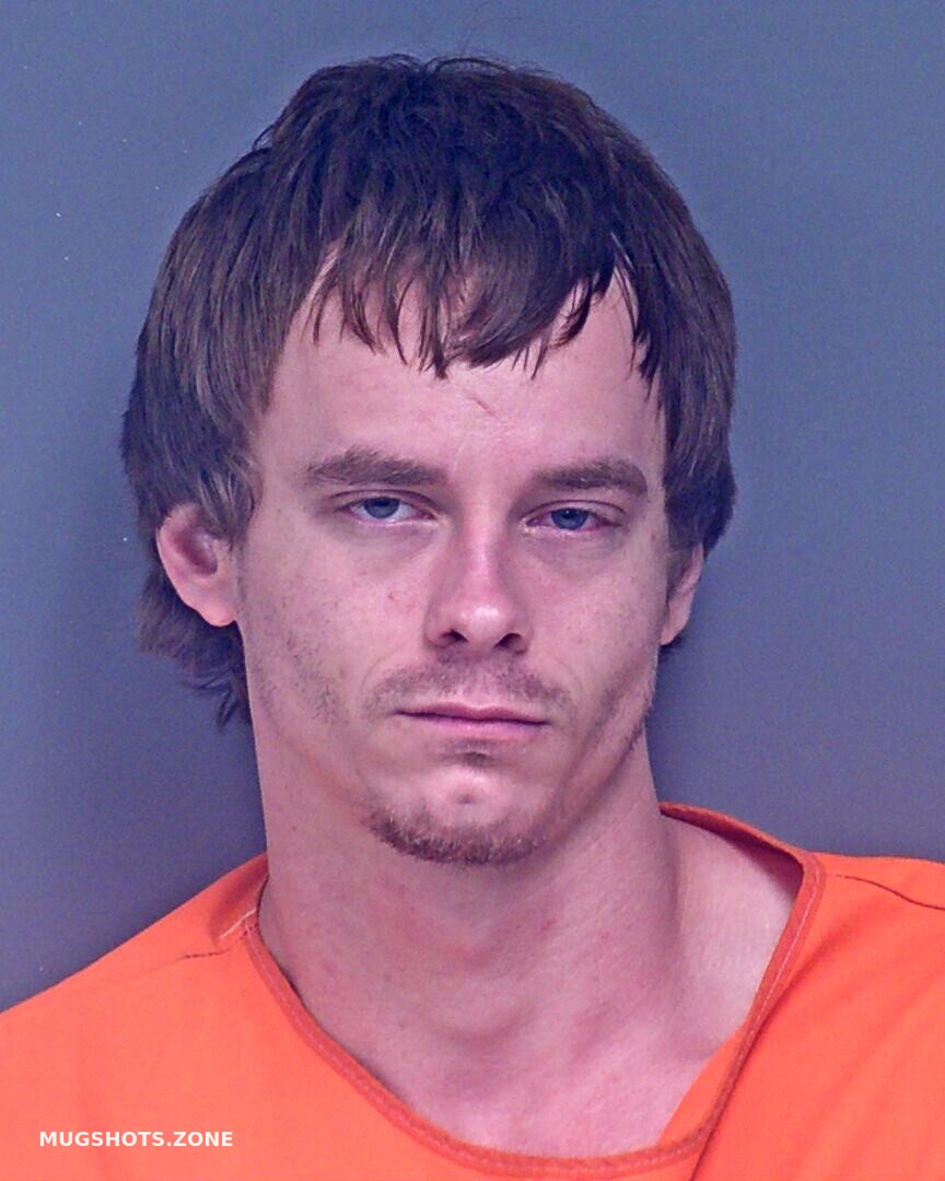TELFOR CHRISTOPHER CODY 08/15/2024 - Baldwin County Mugshots Zone