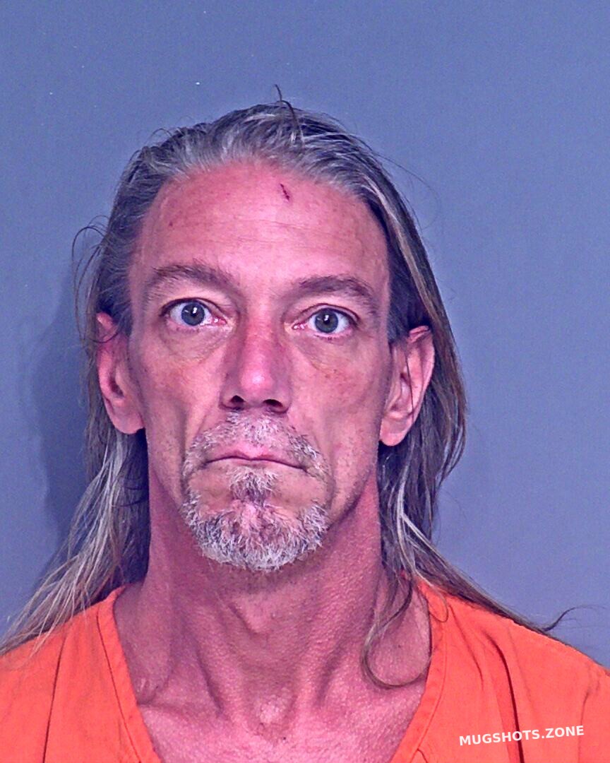 REED LARRY WAYNE 08/27/2024 - Baldwin County Mugshots Zone