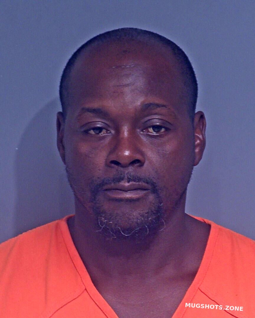 PALMER SR THADDEUS C 08/30/2024 - Baldwin County Mugshots Zone