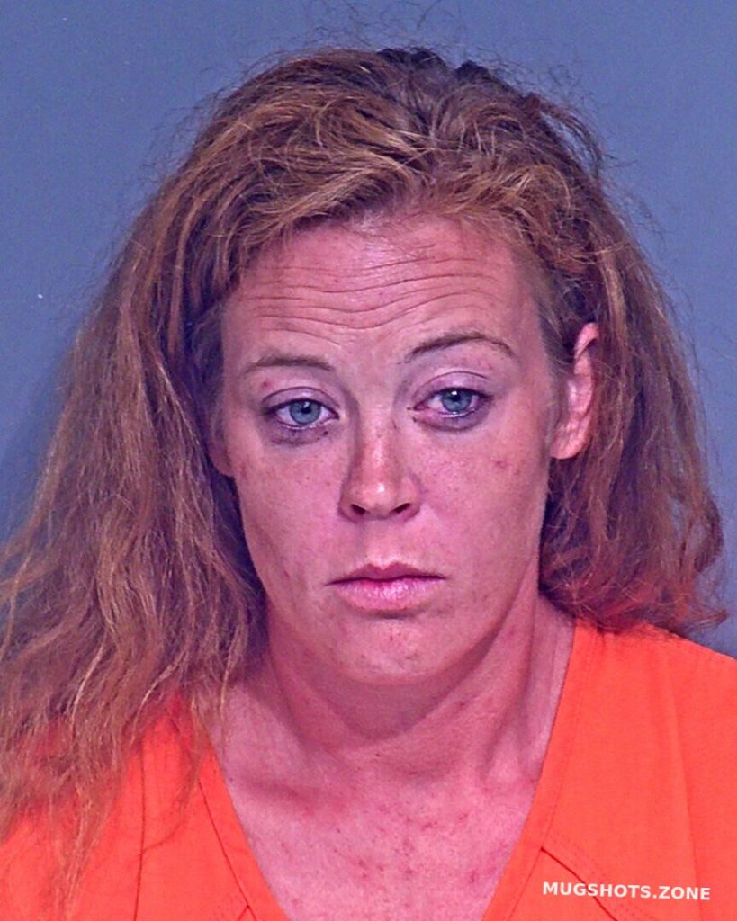 HAMPTON ASHLEY NICOLE 09/01/2024 - Baldwin County Mugshots Zone