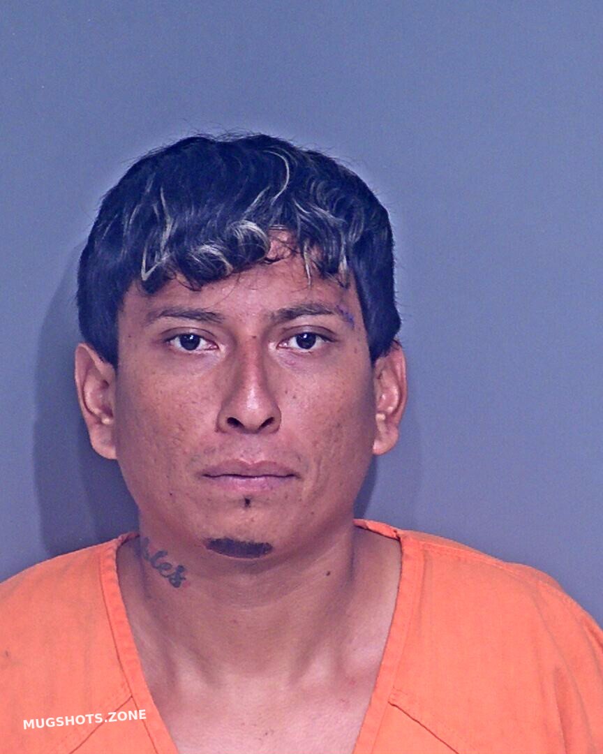 ROBLES ERIC TORRES 09/06/2024 - Baldwin County Mugshots Zone