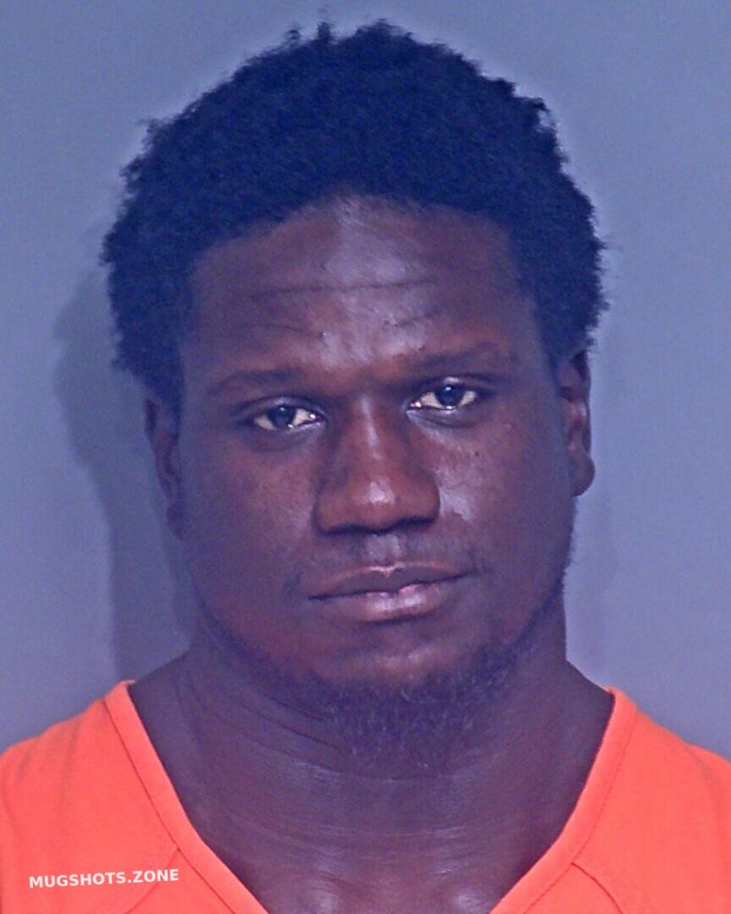 SHEPHERD JR STEVEN CHRISTOPHER 09/30/2024 - Baldwin County Mugshots Zone