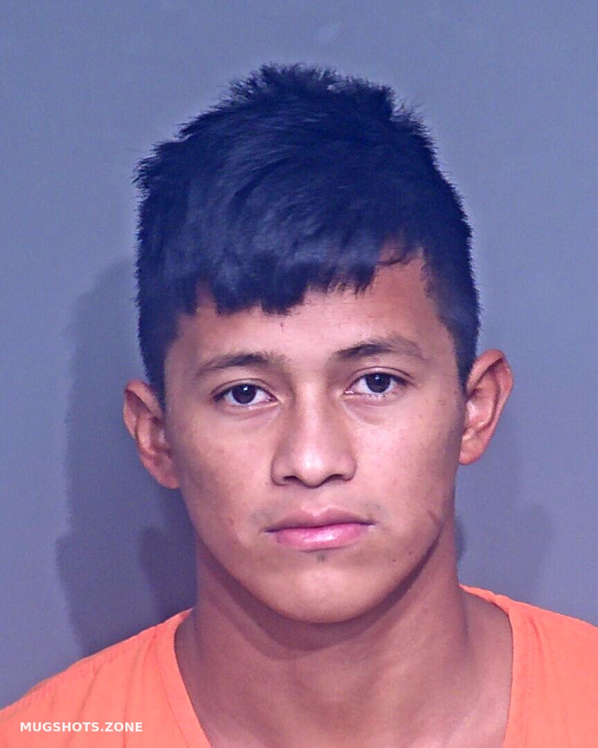 MEDINA MEDINA JOSE ADAN 10/23/2024 - Baldwin County Mugshots Zone