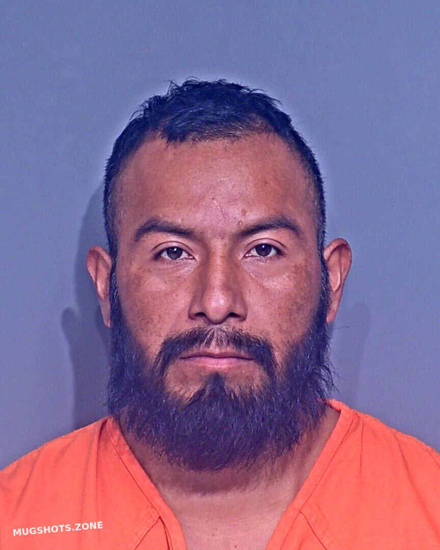 TLEHUACTLE-CUAHUA ALEJANDRO 10/24/2024 - Baldwin County Mugshots Zone