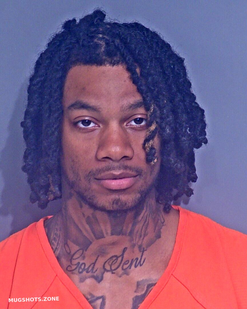 WILLIAMS JACQUEZ HAKEEM 10/25/2024 - Baldwin County Mugshots Zone