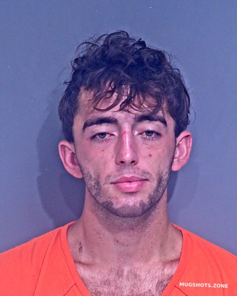 RENFROE TYLER WAYNE 11/17/2024 - Baldwin County Mugshots Zone