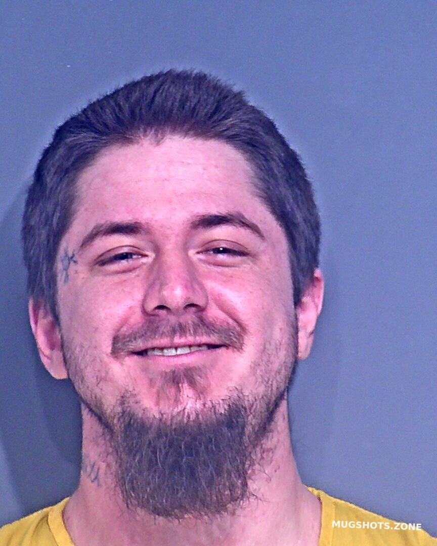 LADNIER JR MARK LYLE 11/28/2024 - Baldwin County Mugshots Zone