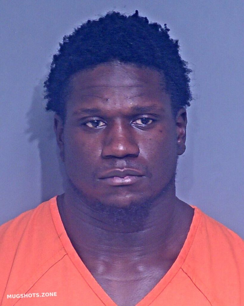 SHEPHERD JR STEVEN CHRISTOPHER 12/12/2024 - Baldwin County Mugshots Zone