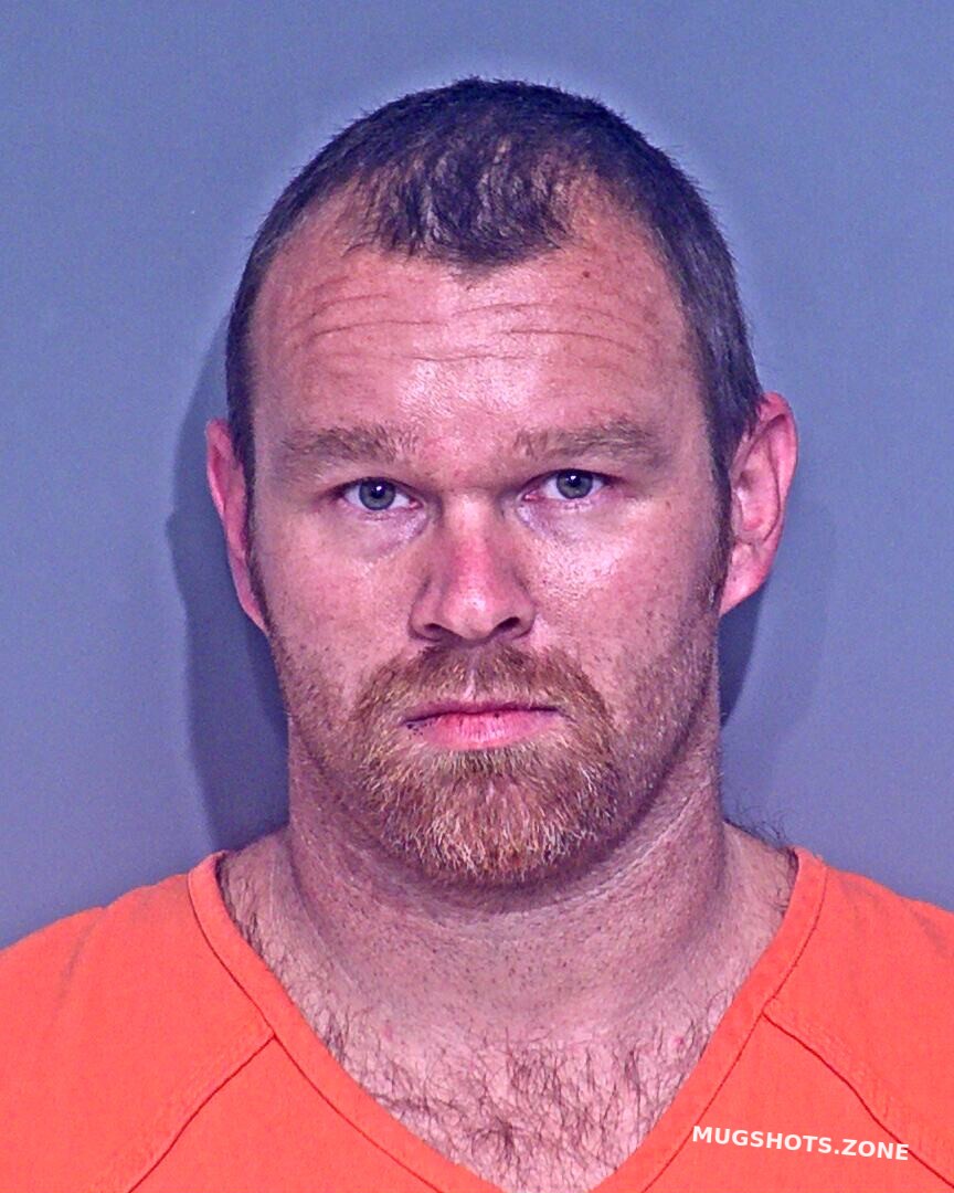 NELSON JR DAVID ALLEN 12/17/2024 - Baldwin County Mugshots Zone