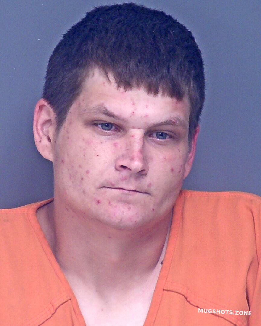 INGRAM MURRAY LEE 12/21/2024 - Baldwin County Mugshots Zone