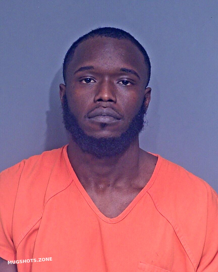 JOHNSON PATRICK ALEXANDER 01/20/2025 - Baldwin County Mugshots Zone