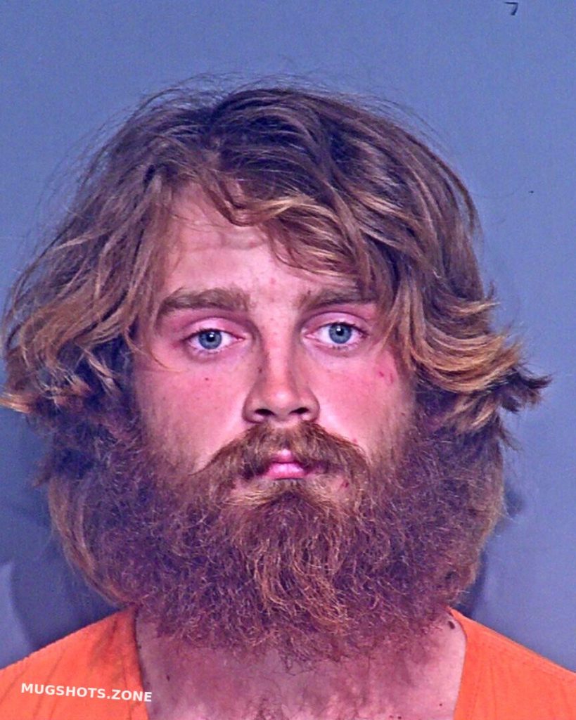 SAYERS LOGAN EDWARD 01/26/2025 - Baldwin County Mugshots Zone