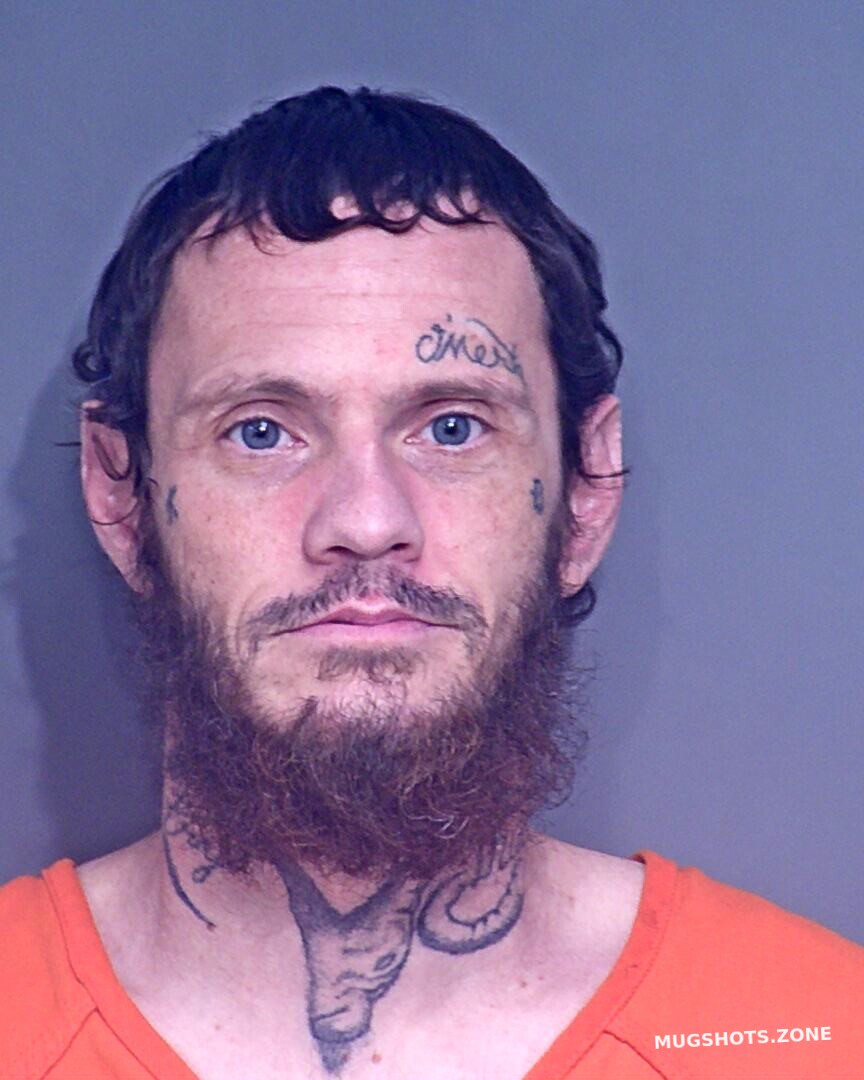 GODWIN JAMES EARL RAY 02/03/2025 - Baldwin County Mugshots Zone