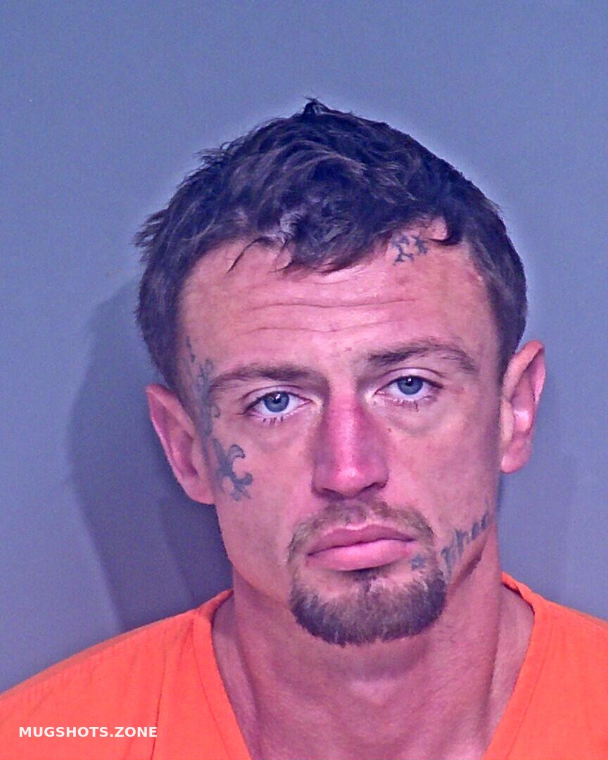 CARTER CHRISTOPHER JAMES JOHN 02/12/2025 - Baldwin County Mugshots Zone